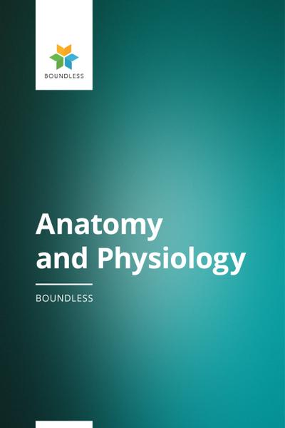 Anatomy And Physiology Boundless Ebook Pdf Buku