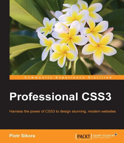 Professional CSS3, Packt, eBook, PDF - BUKU
